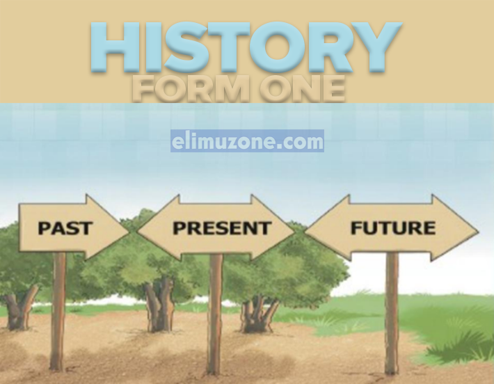 HISTORY FORM ONE NOTES NEW SYLLABUS - ALL TOPICS